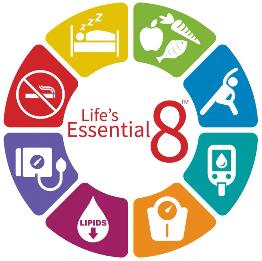 Why we love Life's Essential 8 -The American Heart Association's advice ...